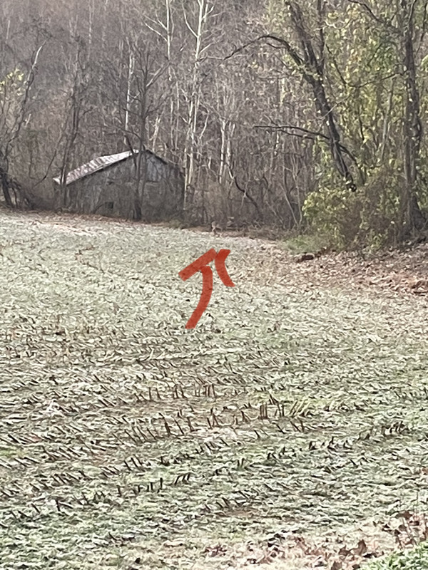 56716 D11 D035 4 B0 E A4 BE F14 E179 C5 DCA — Postimages