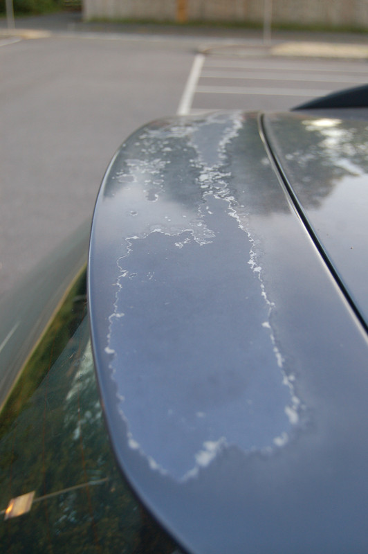 DSC 0082 — Postimages