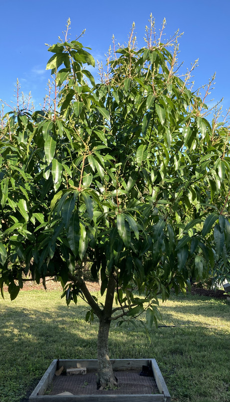 C694 FC4 C 19 FE 4 B80 B013 499 CCFEF4 CF0 — Postimages