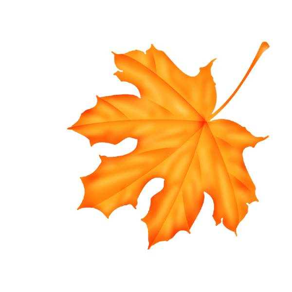 KBK Autumn Leaves (3) — Postimages