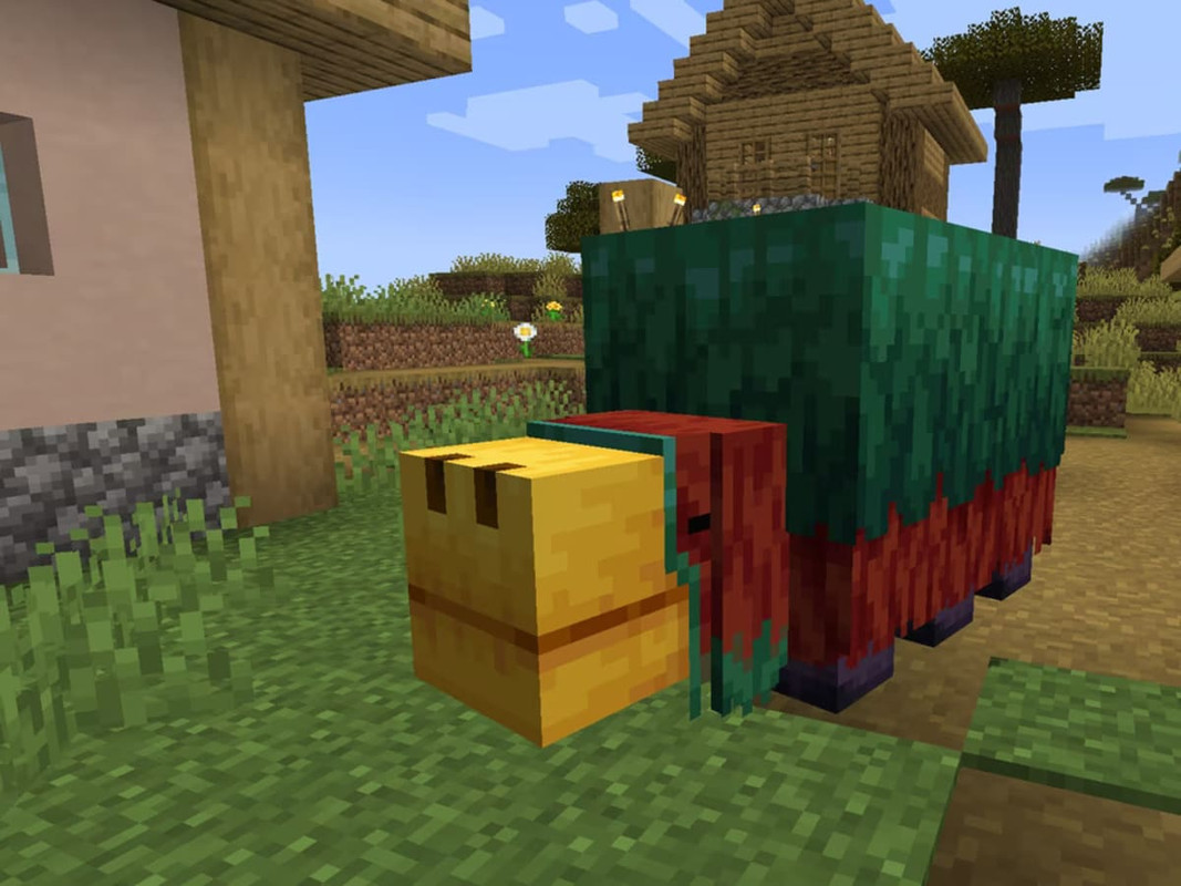 minecraft sniffer — Postimages