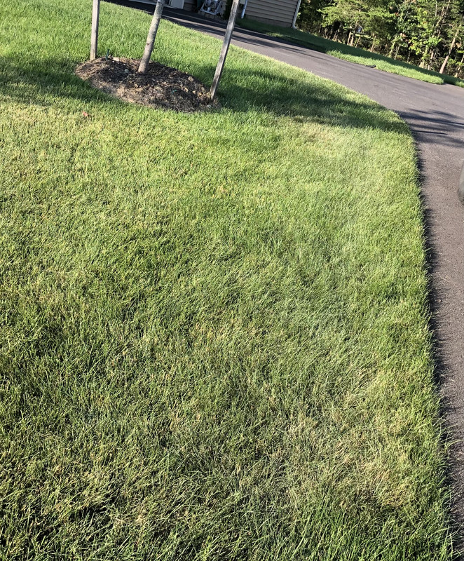 AD33 B3 A5 D1 A5 441 C B5 F6 196201924 A26 — Postimages