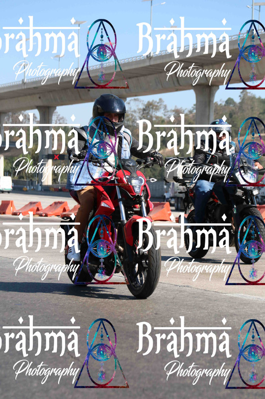 IMG 1216 — Postimages