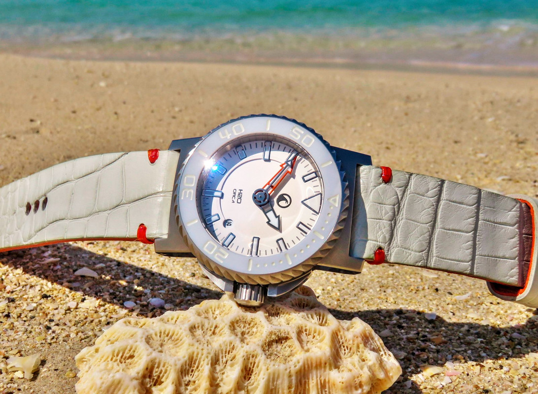 WRUR Sunday 14 February 2021 | WATCH TALK FORUMS