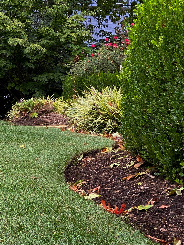 What type of edging is best? | Lawn Care Forum
