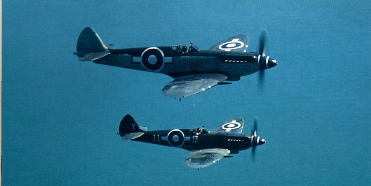 Seafire colour scheme - help wanted... - Aircraft WWII - Britmodeller.com