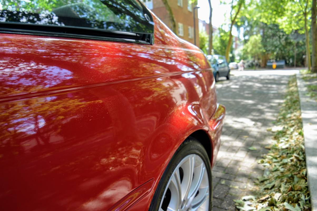 DSC 0697 — Postimages