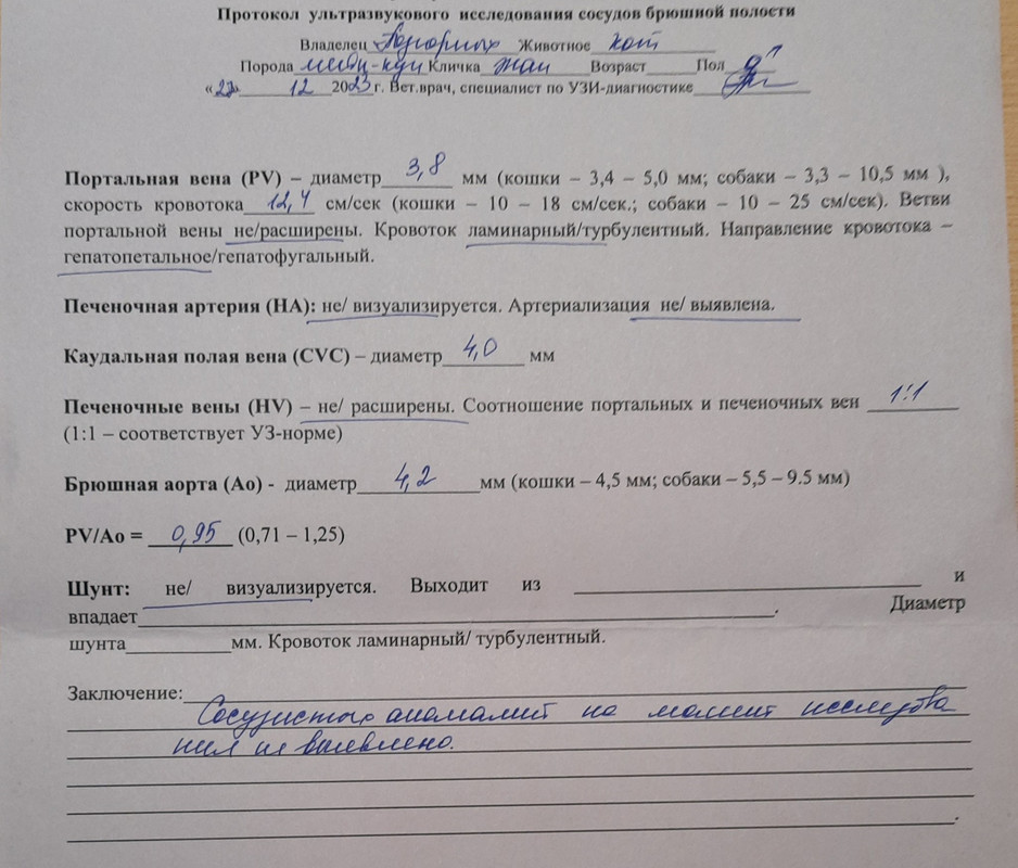 20240109 200001 — Postimages