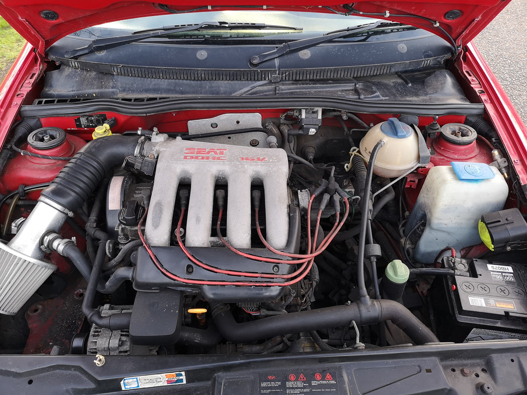 87733809 213867739665531 3601212769254244352 n — Postimages