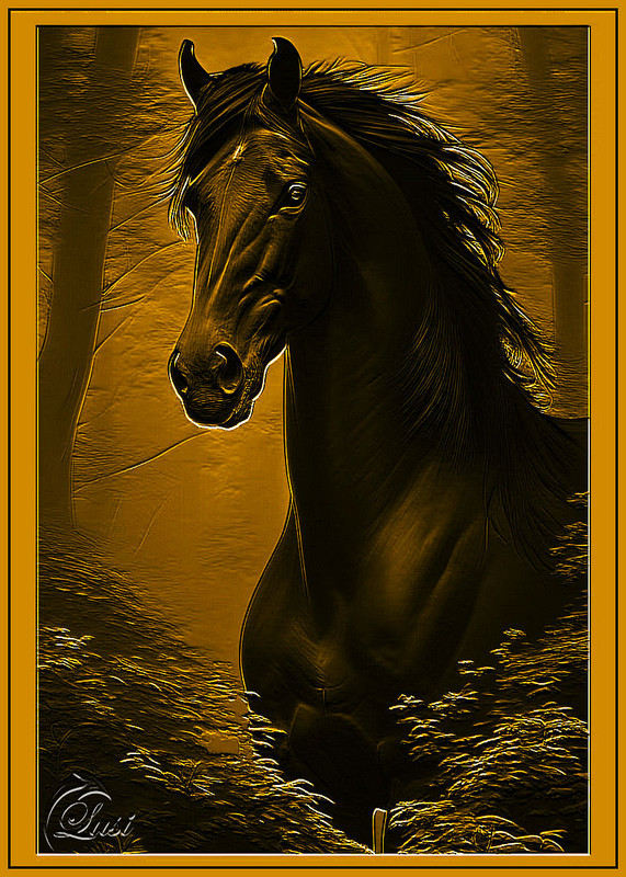 PSP 330 — Postimages