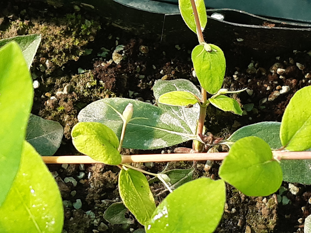 20230804 161313 — Postimages