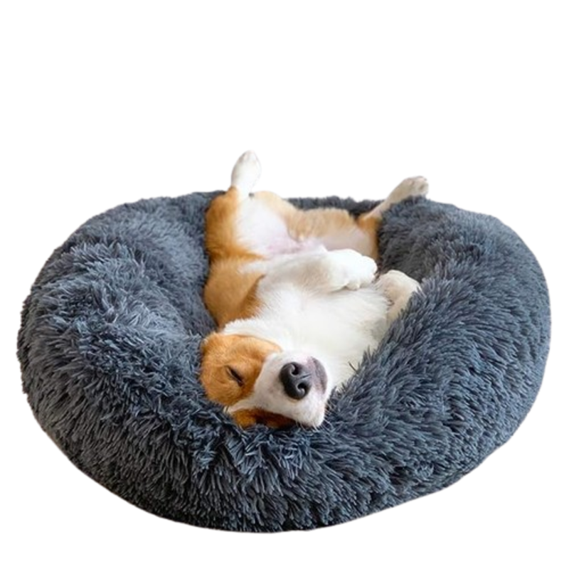 61 Lk TBVuk9 L AC SX679 removebg preview (1) — Postimages