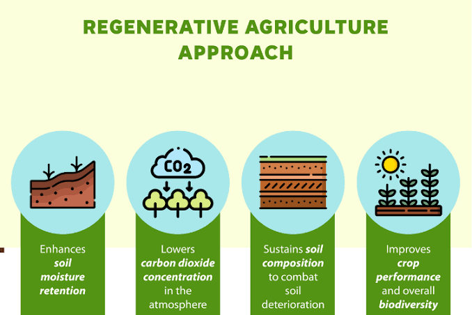 How Regenerative Agriculture Can Boost Farm Profits – Sopriza
