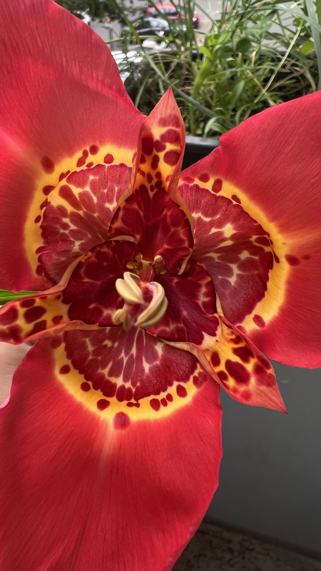 IMG 5891 — Postimages