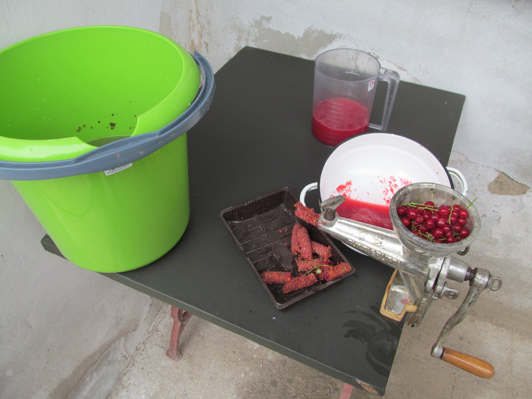 IMG 1150 — Postimages