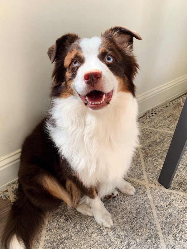 Harsh Light Fix — Postimages