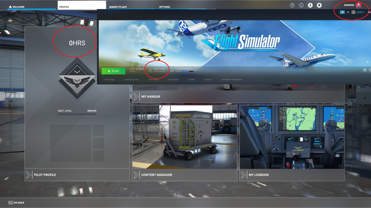 Flight logbook and hours empty again! - User Interface & Activities ...
