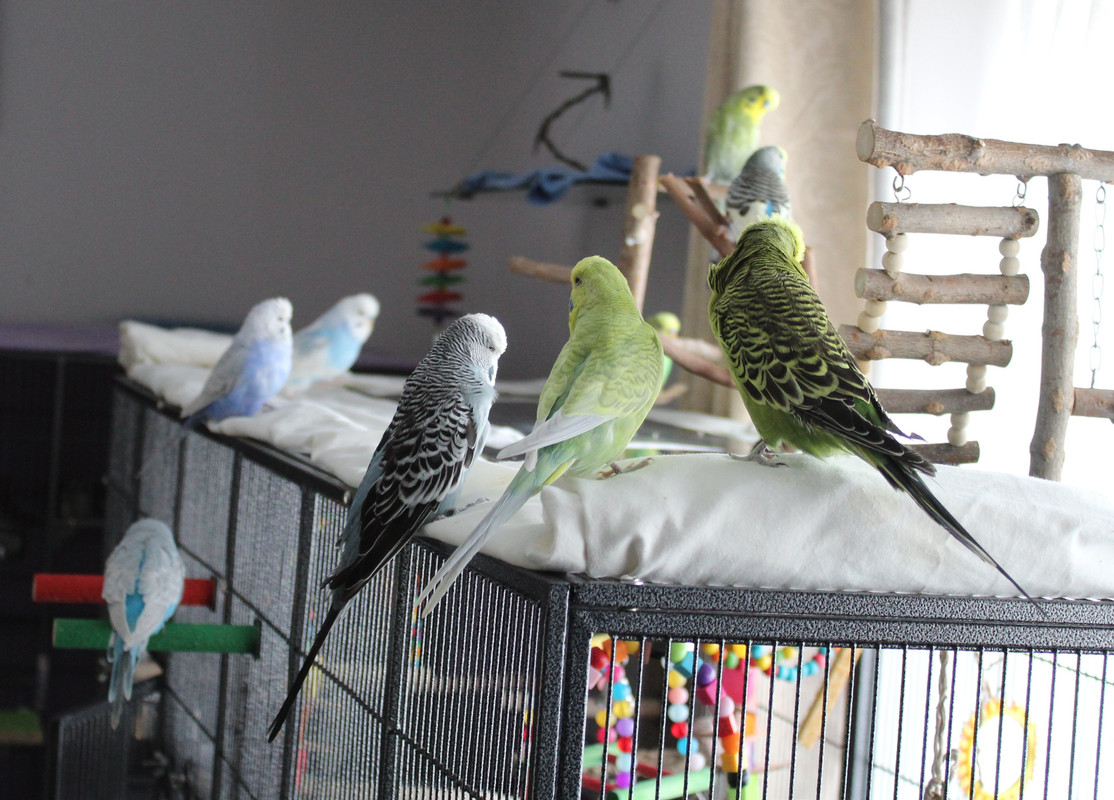 20230701082832 img 0140 — Postimages