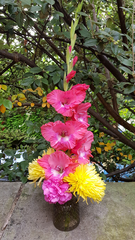 20240810 072310 2 — Postimages