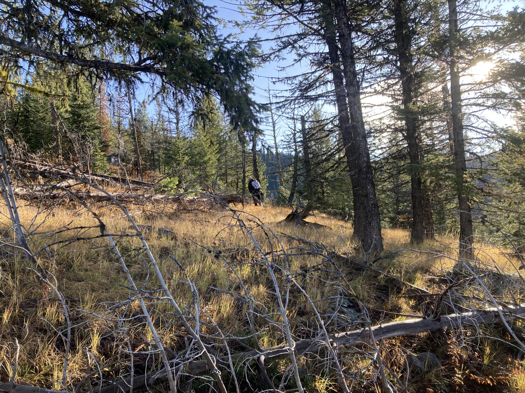 291349 E6 52 CA 4396 922 D 10679 EB51779 — Postimages