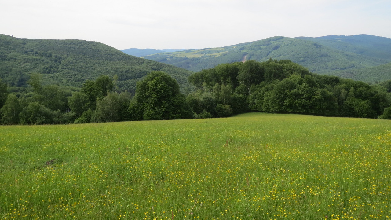 IMG 2103 — Postimages