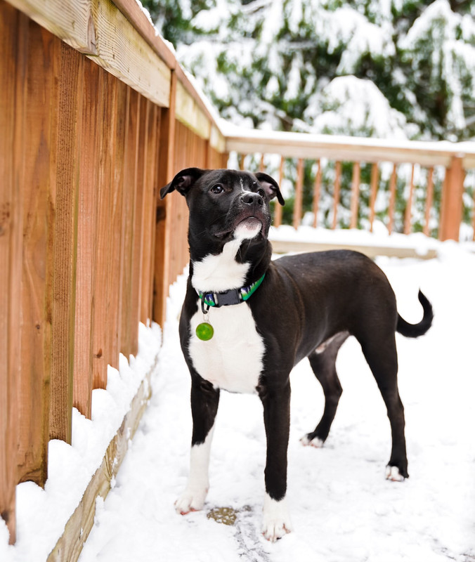 IMG 5155 — Postimages