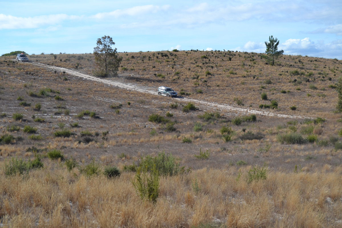 DSC 0066 — Postimages