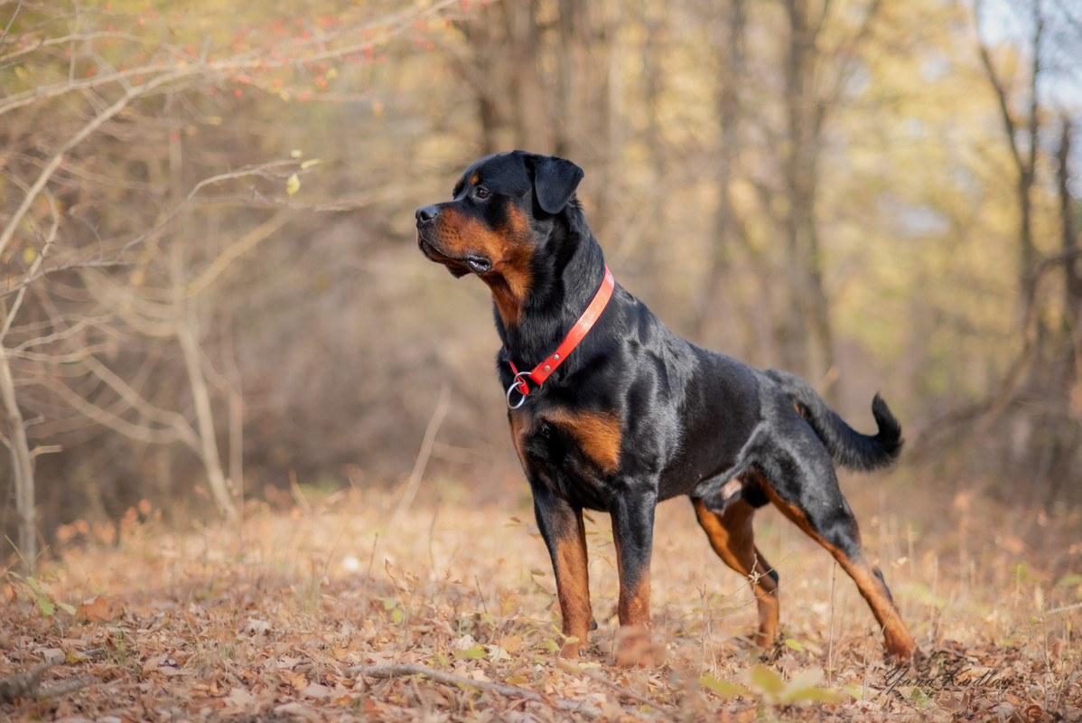 20241028 750 1693 — Postimages