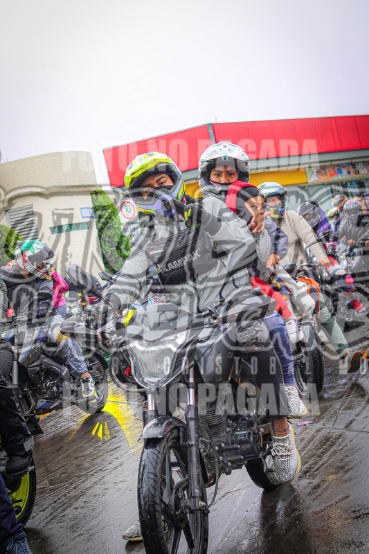 pald2 1020 — Postimages