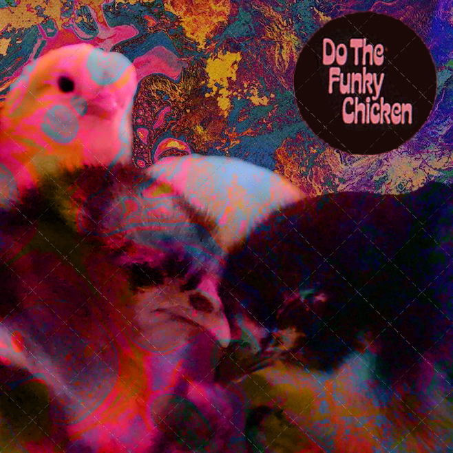 Can anyone turn our newly hatched chicks into an album cover? Will tip ...