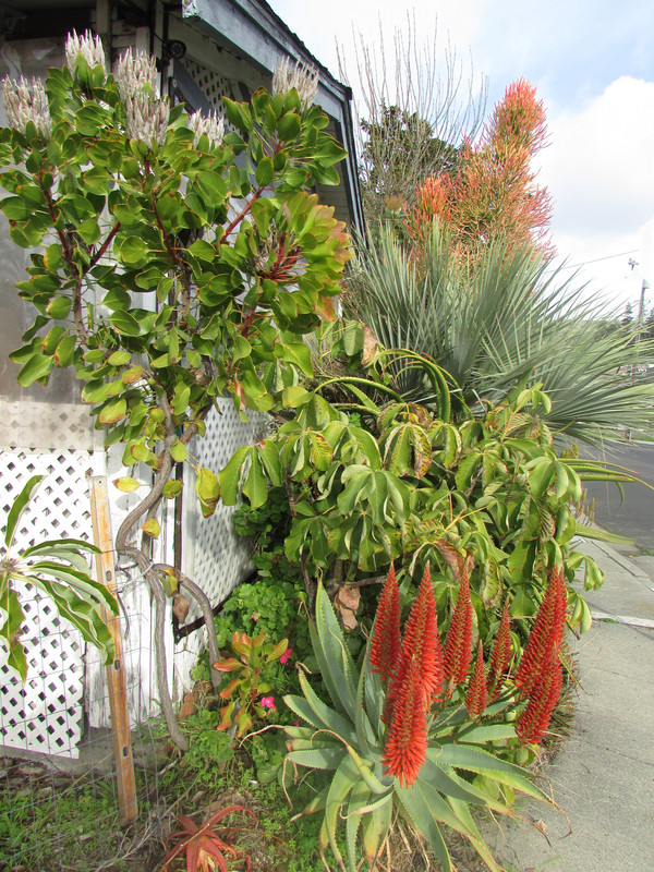 IMG 5478 — Postimages