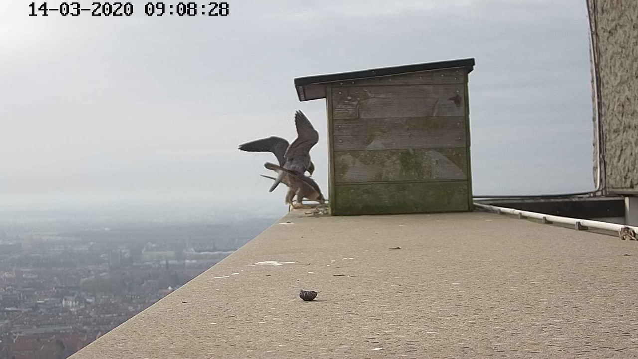 2020 03 14 T09 13 21 WP2 — Postimages