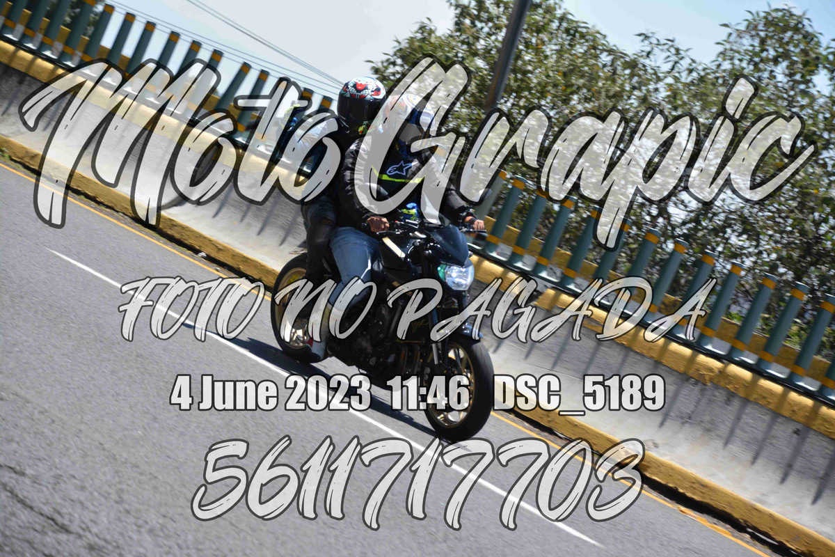 motgr DSC 5189 — Postimages