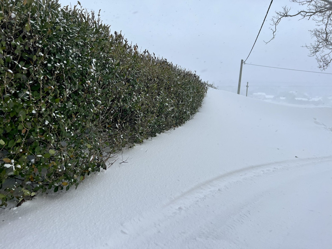 E3 A595 B7 D12 E 48 DE 8 A25 757 E0 DDA8018 — Postimages