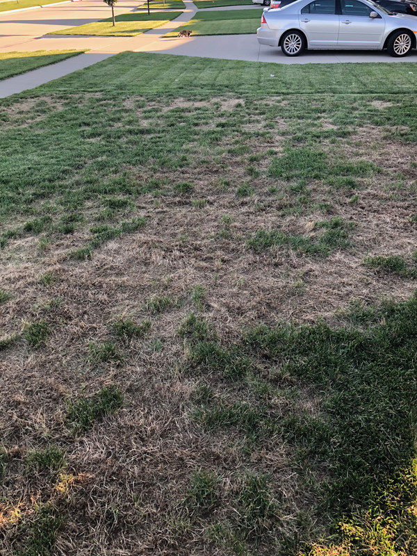 IMG 1219 — Postimages