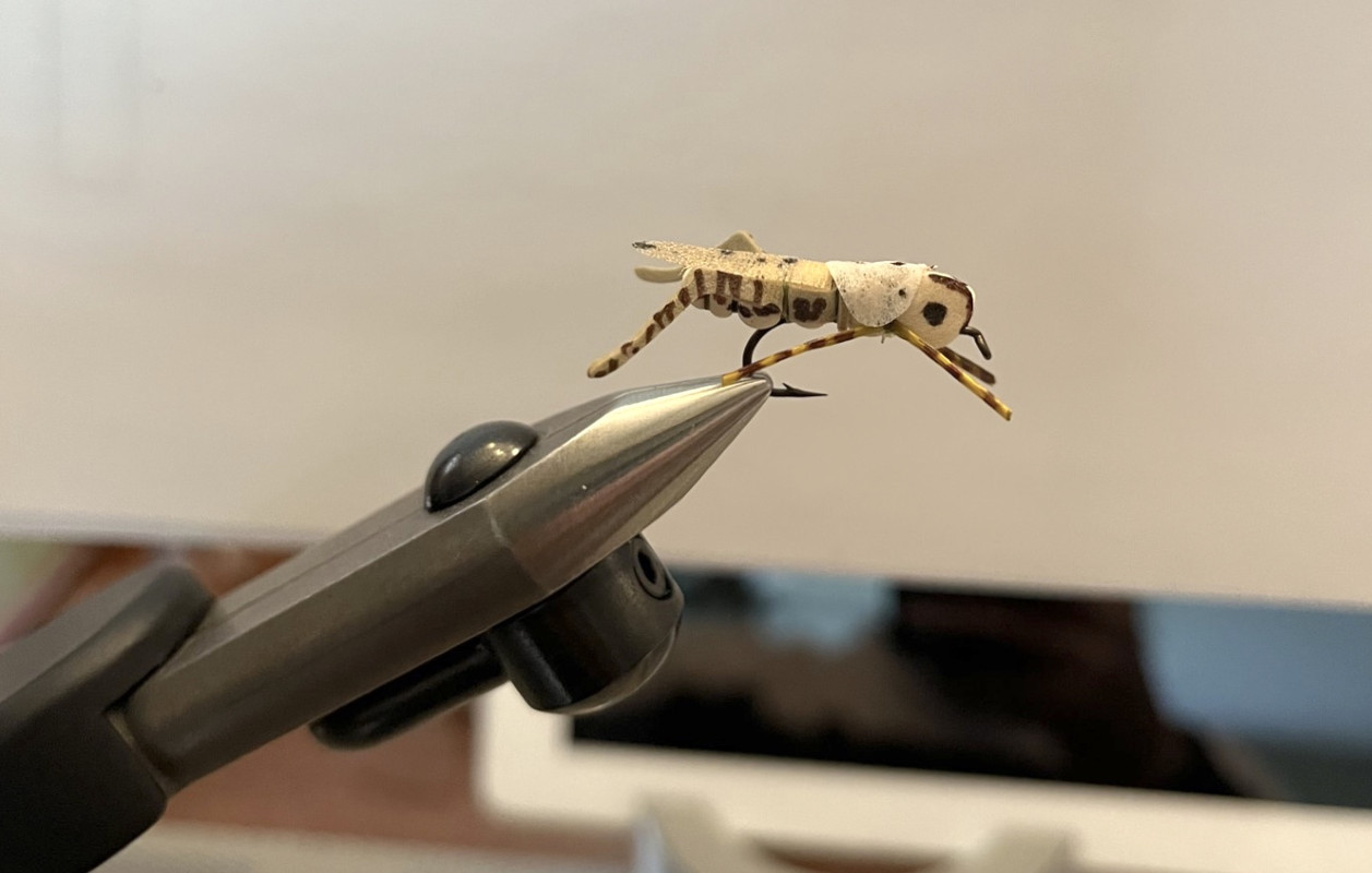 fullsizeoutput 5df — Postimages