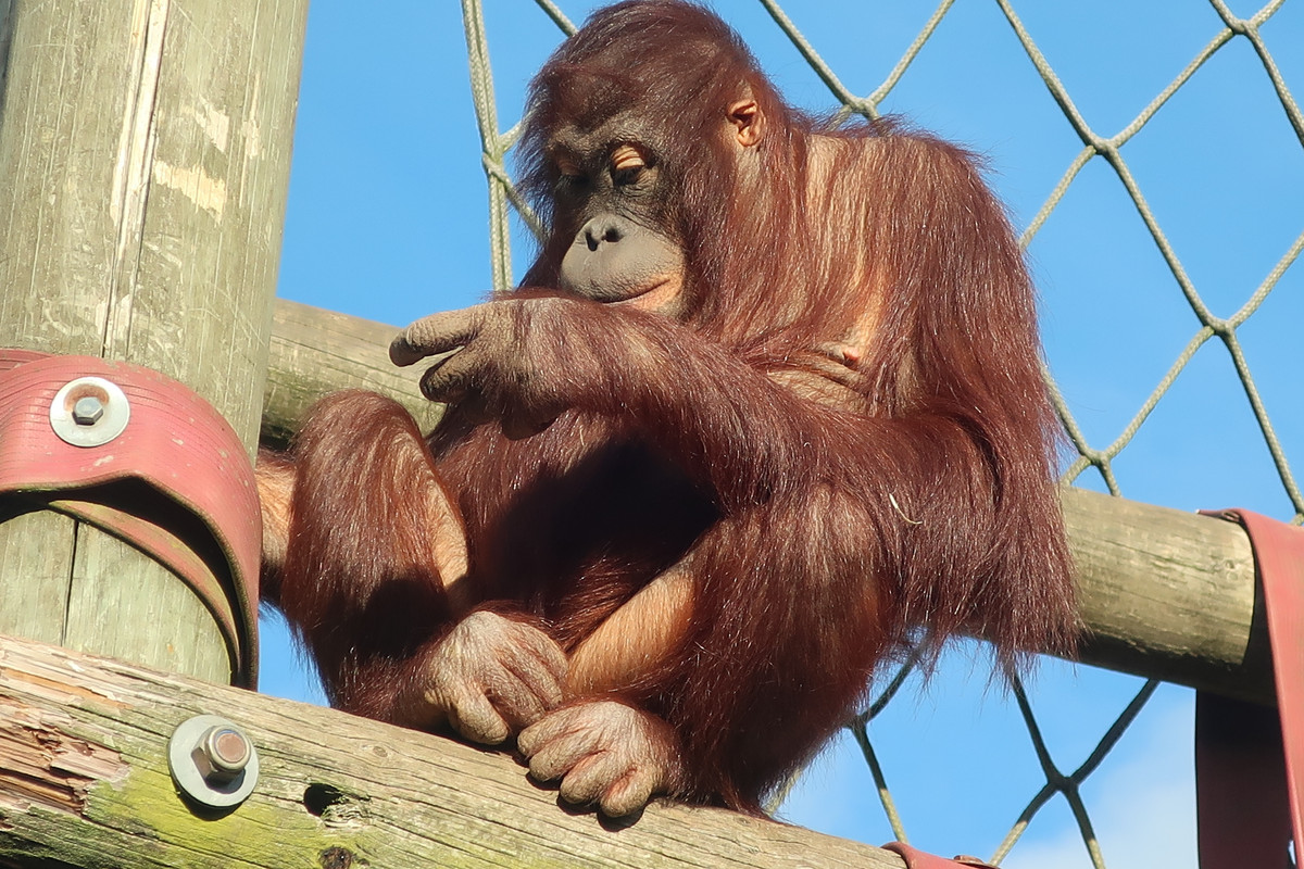 IMG 0850 — Postimages