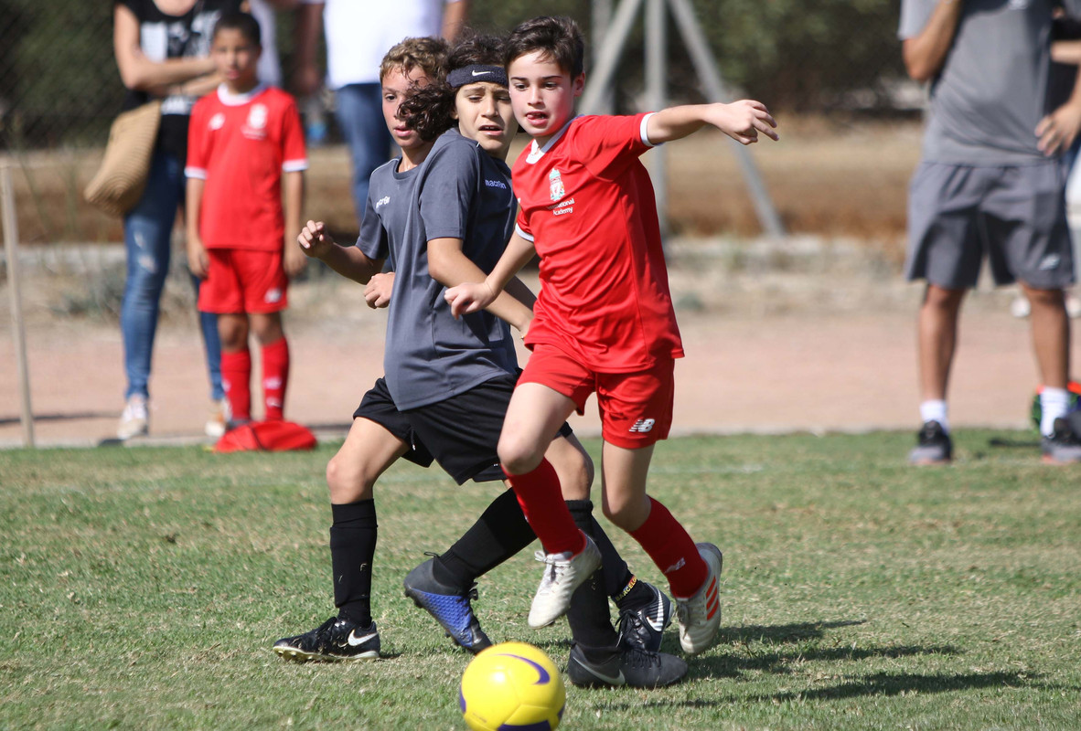 VIK 8062 — Postimages