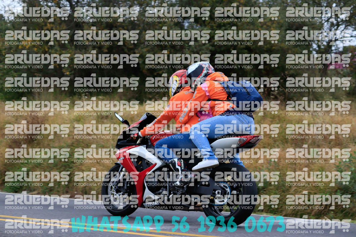 MG 0750 — Postimages