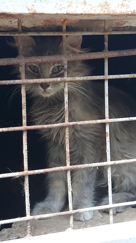 IMG 20230511 WA0000 — Postimages