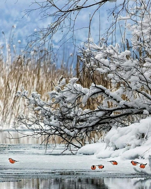 8knv C1g C s8 — Postimages