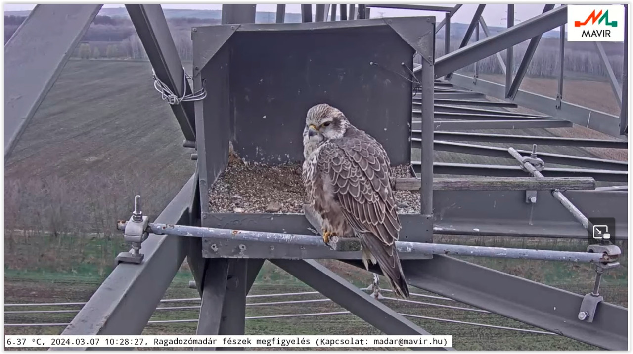 Screen Shot 03 07 24 at 10 28 AM 001 — Postimages