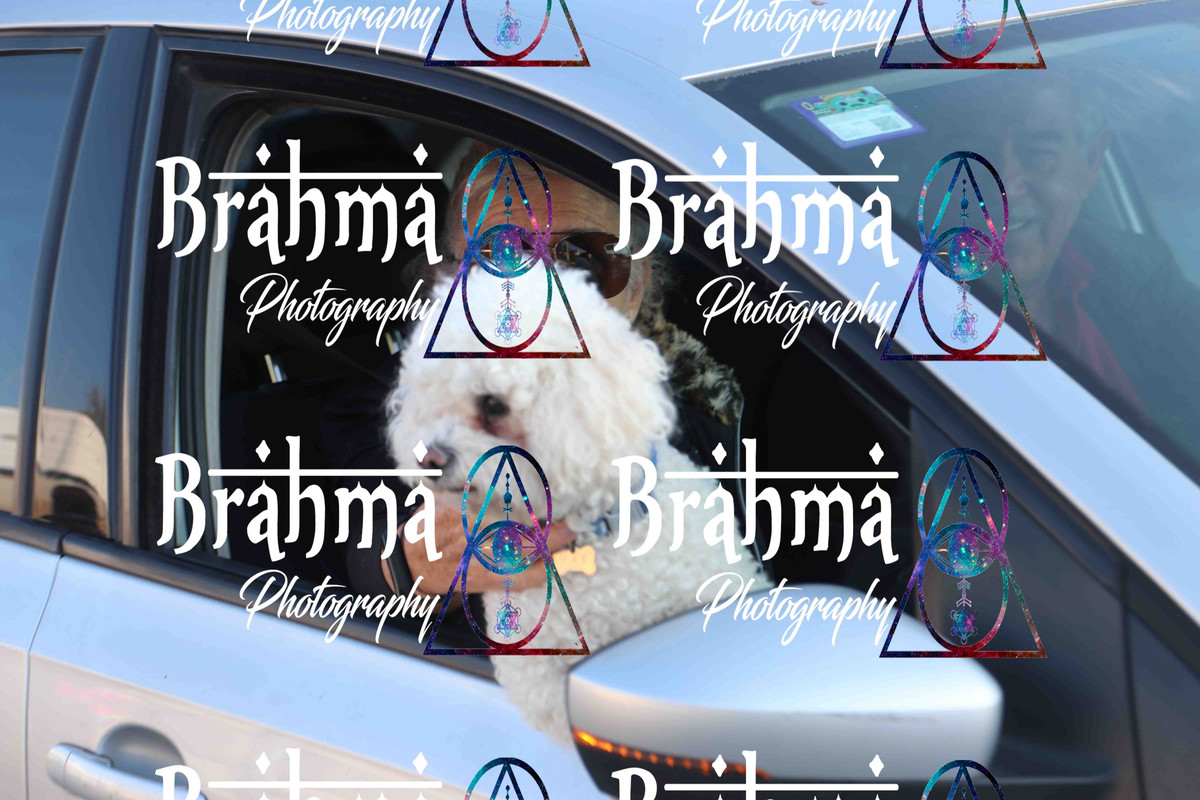 IMG 4100 — Postimages