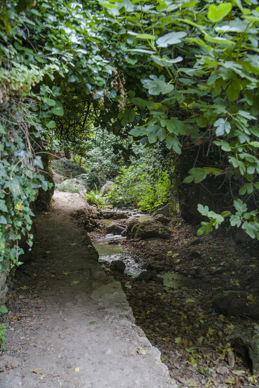 MG 9942 foro — Postimages