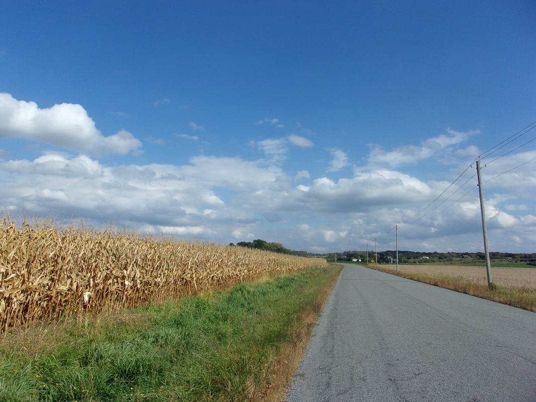 Fall corn and clouds — Postimages