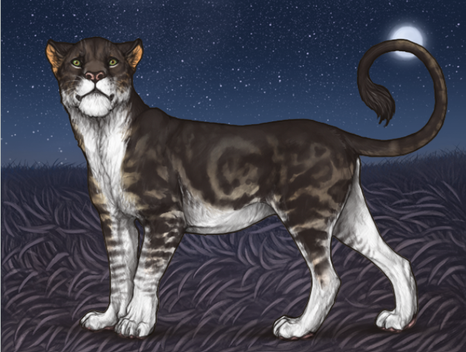 Design my cat as a lion! Winner gets 5gb! :|: Lioden