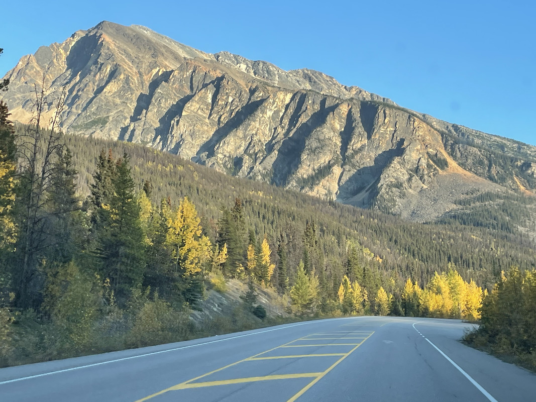 909903 D4 3 AAD 44 E2 A045 D385 D351 A7 A5 — Postimages