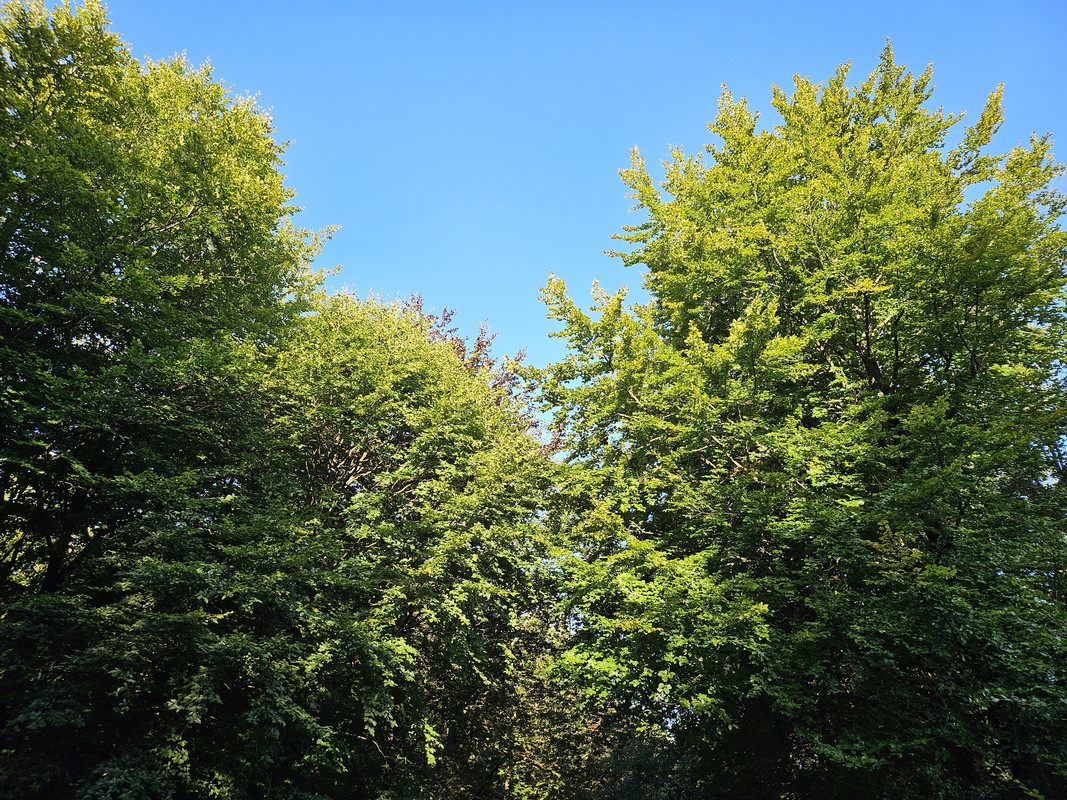 20240815 080952 — Postimages