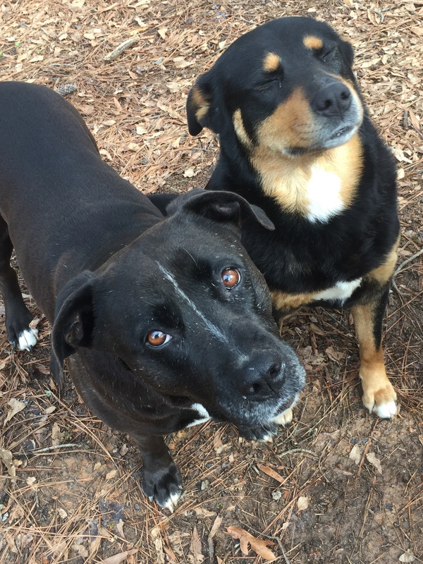 3 FFEEE11 A341 4321 8 CAC 5 C7917 B00 E7 D — Postimages