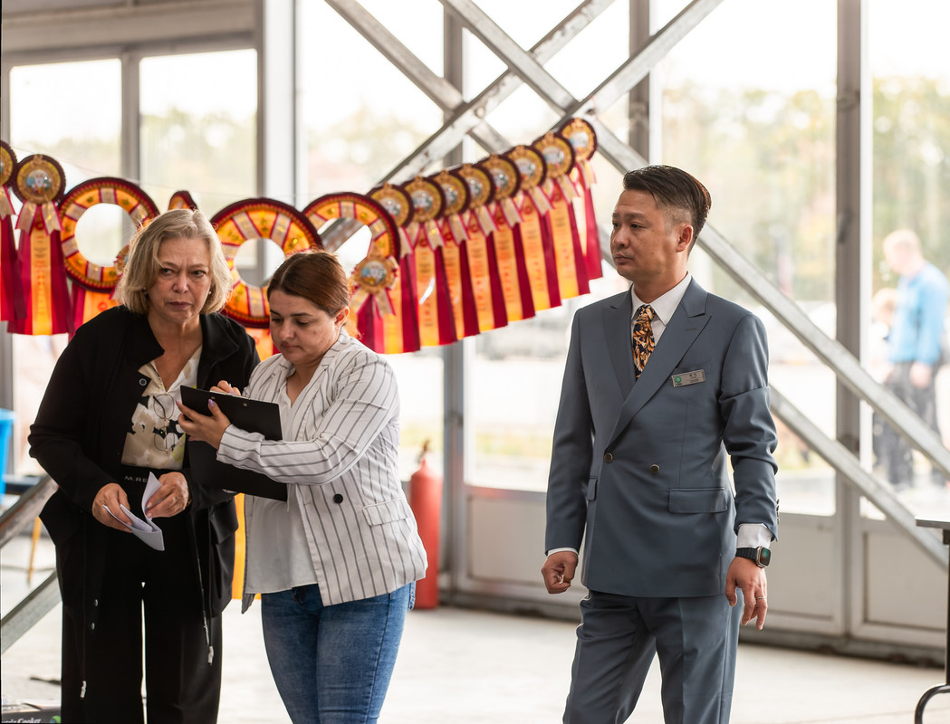 30 1164 — Postimages